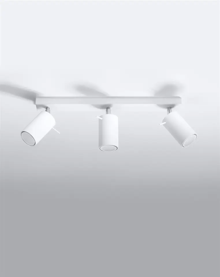 Ceiling lamp RING 3L White | Wasserman.eu