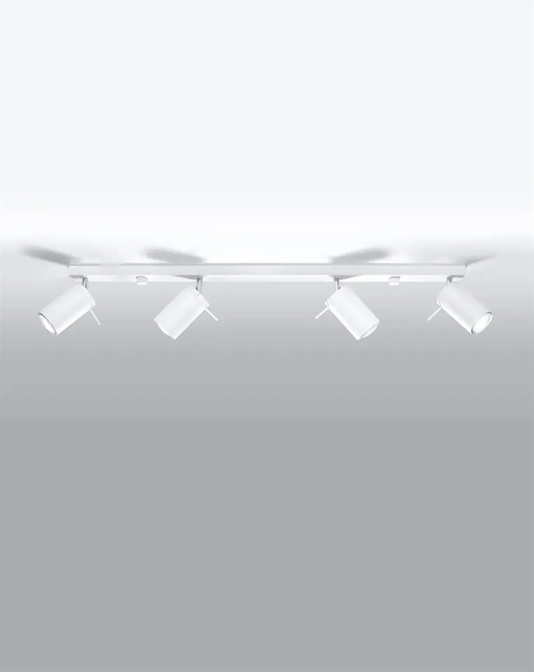 Ceiling lamp RING 4L White | Wasserman.eu