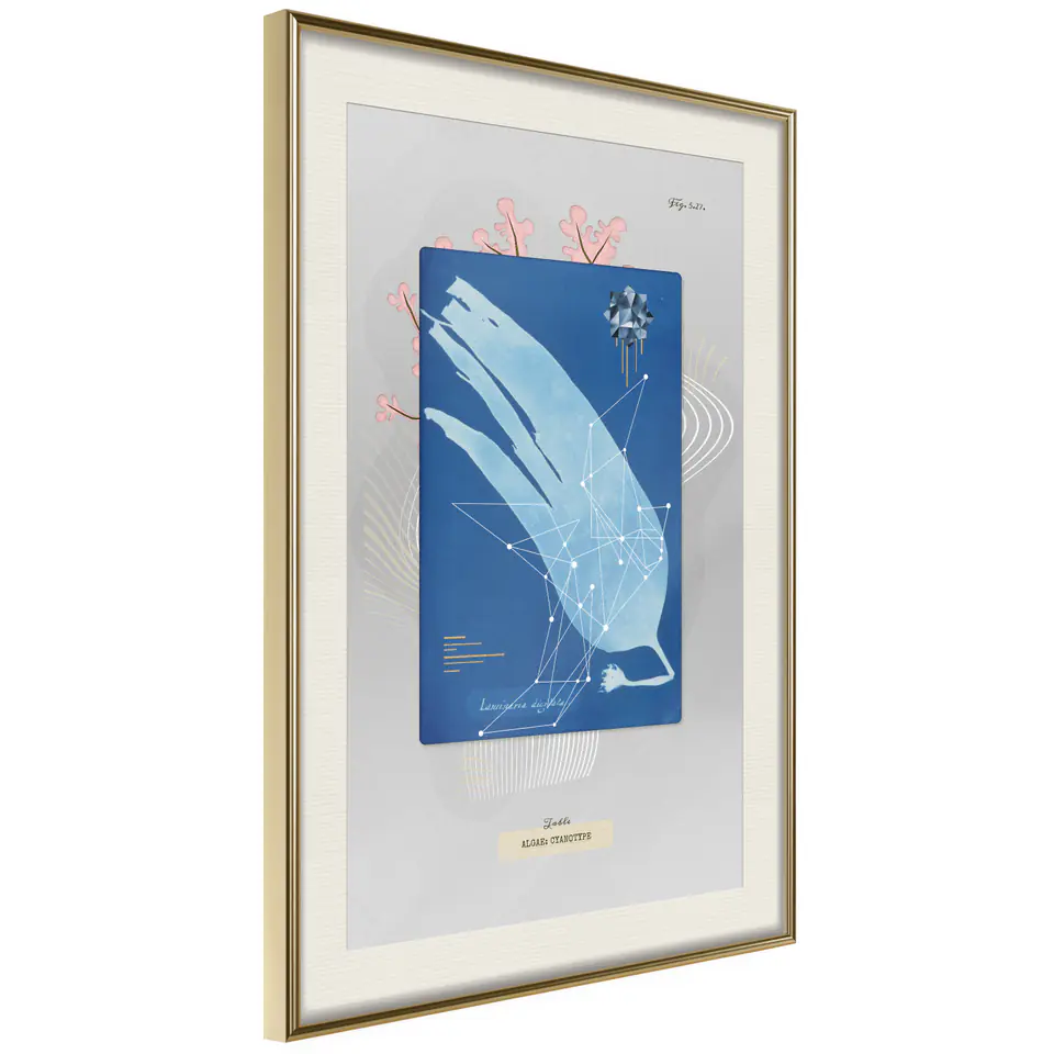 Plakat - Glon [Poster] rozmiar 30x45, wykończenie Rama złota z passe ...