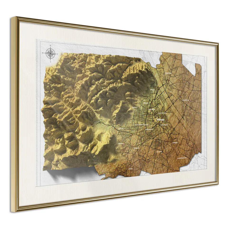 Poster - Relief map: Vienna size 30x20, finish Gold frame with passe ...