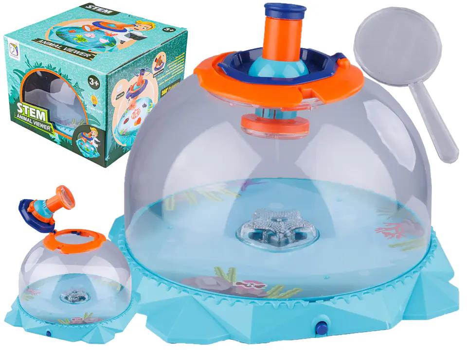 Insect Observatory, Insect Observation Container With Magnifier ...