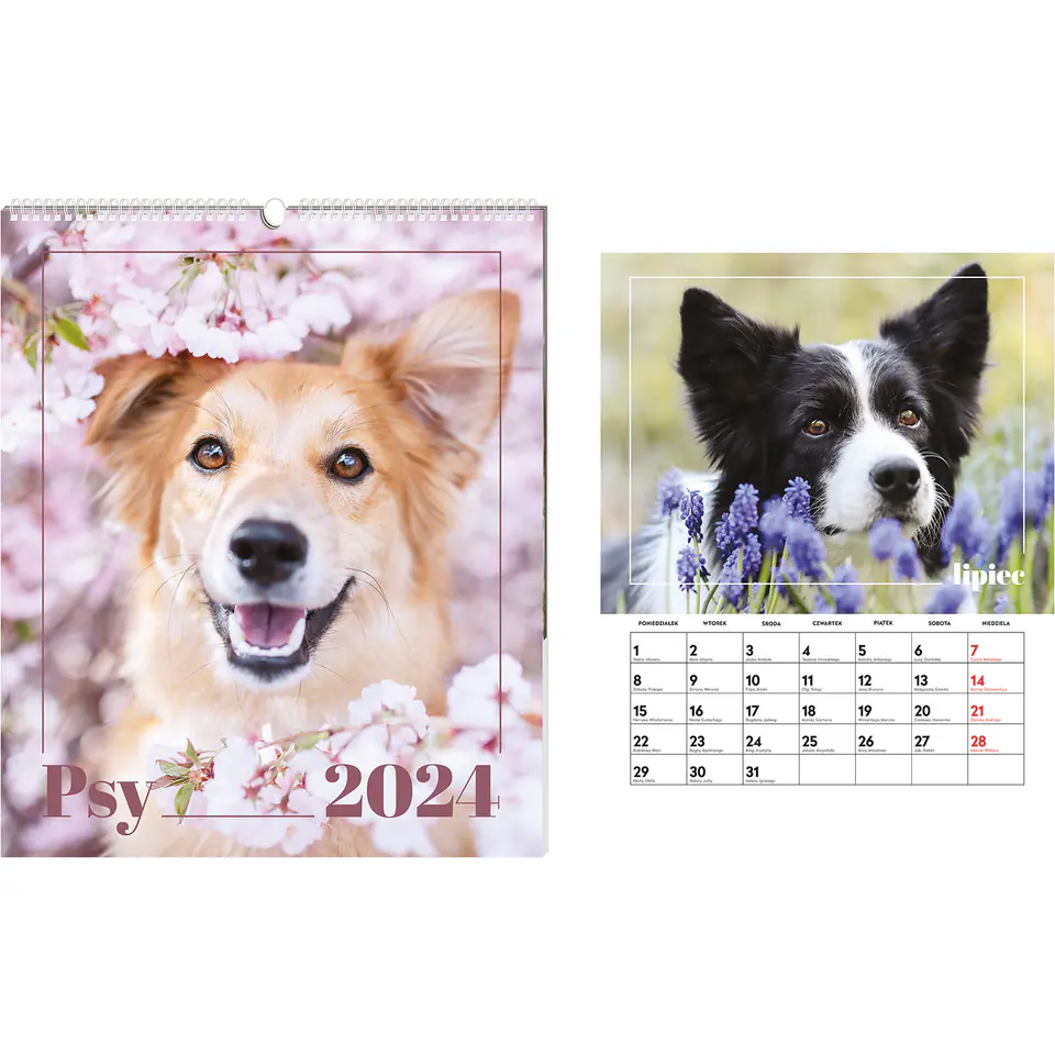 Kalendarz ścienny planszowy 33.5x40cm Psy INTERDRUK | Wasserman.eu