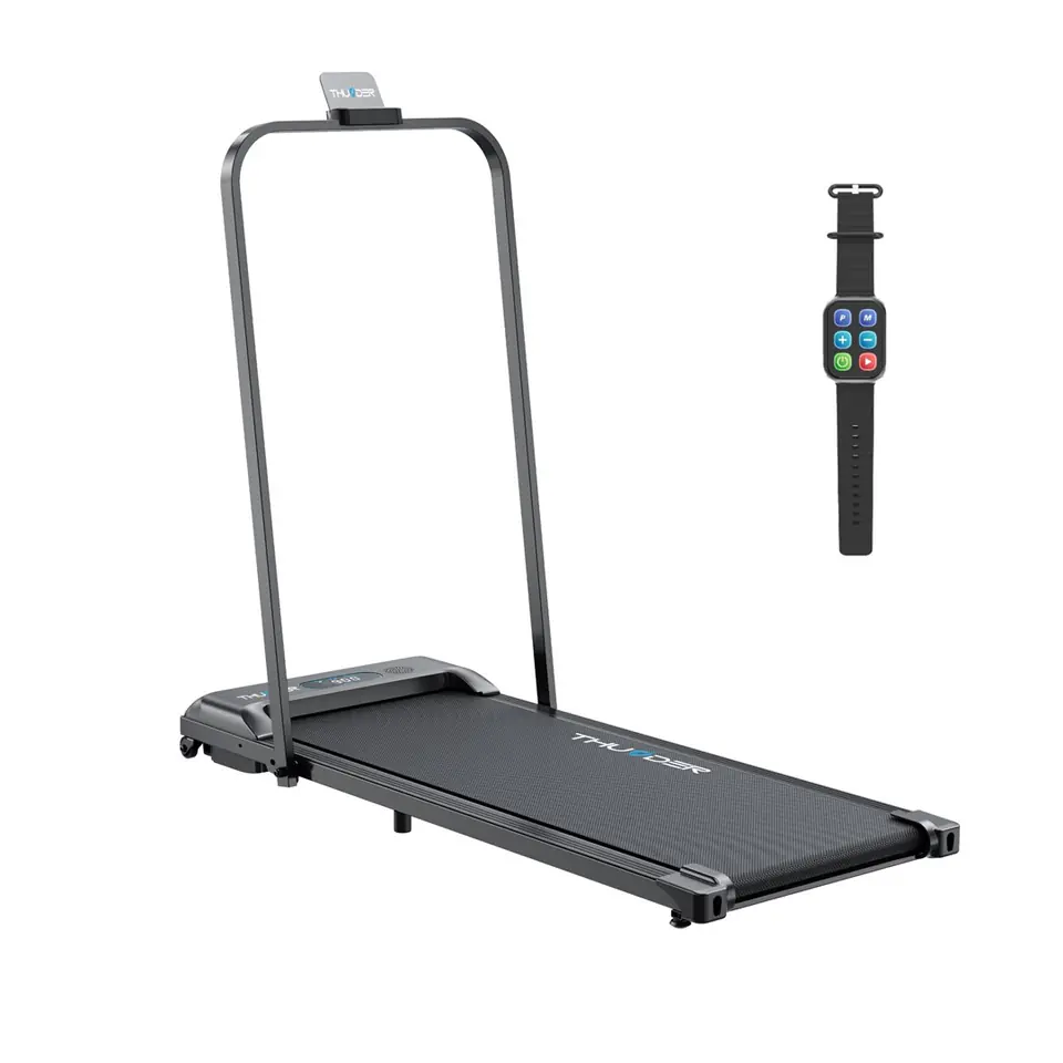 Thunder Viva silver electric treadmill | Wasserman.eu