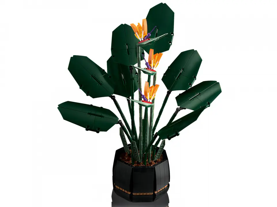 LEGO ICONS 10289 ROYAL STRELITZIA | Wasserman.eu