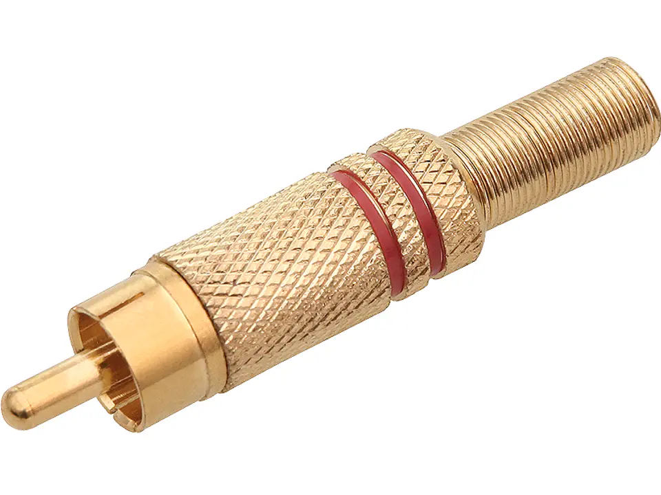 Tue.RCA chinch GOLDEN LITTLE RED | Wasserman.eu