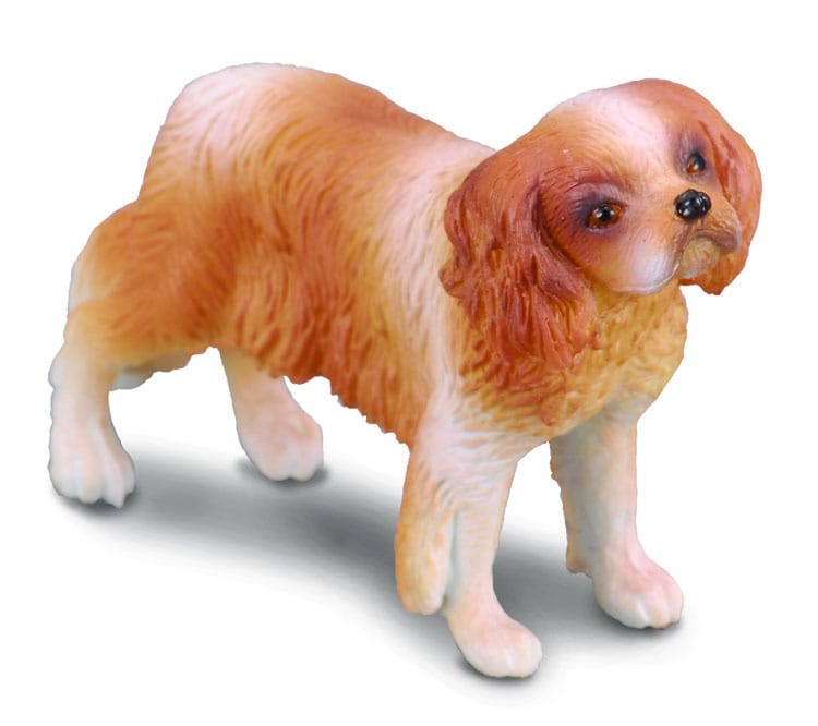 COLLECTA PIES RASY SPANIEL CAVALIER KING CHARLES | Wasserman.eu